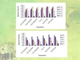 Strain improvement | PPTX