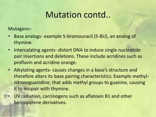Strain improvement | PPTX
