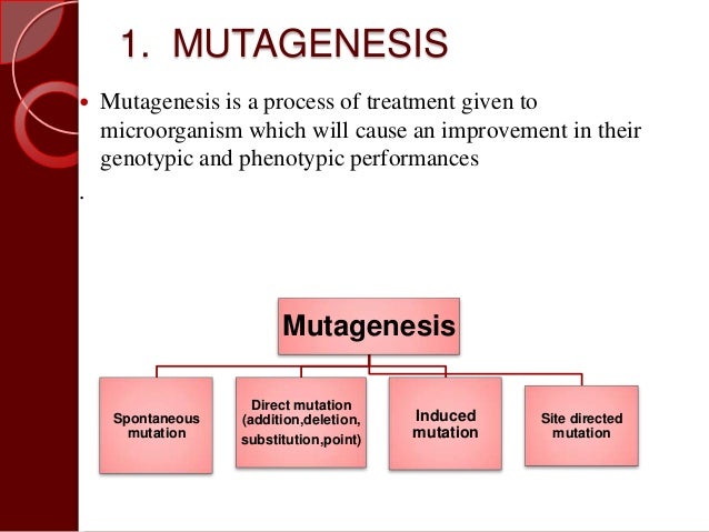 Strain improvement technique