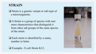 Strain improvement | PPTX