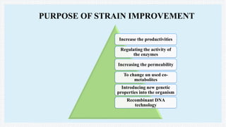 Strain improvement | PPTX