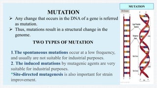 Strain improvement | PPTX