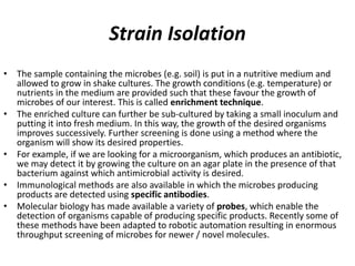 Strain Improvement.pptx QWERTUIOPDFGJSDFG | PPT