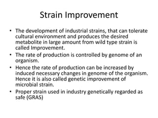 Strain Improvement.pptx QWERTUIOPDFGJSDFG | PPTX