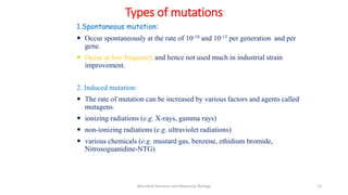 Strain improvement in microbial genetics .pptx