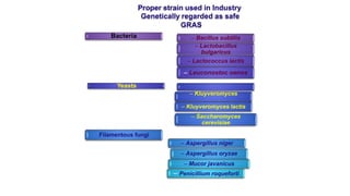Strain improvement in microbial genetics .pptx