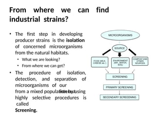 ppresentation on strain improvement.pptx