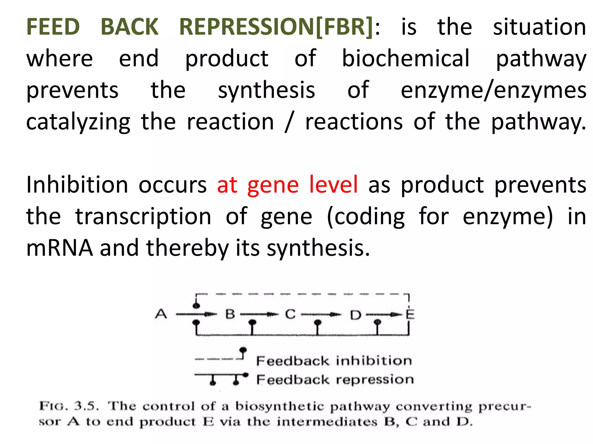 Strain improvement part I, Types of control mechanism in micro ...