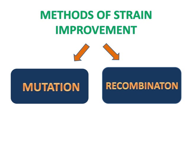 Strain improvement part I, Types of control mechanism in micro ...