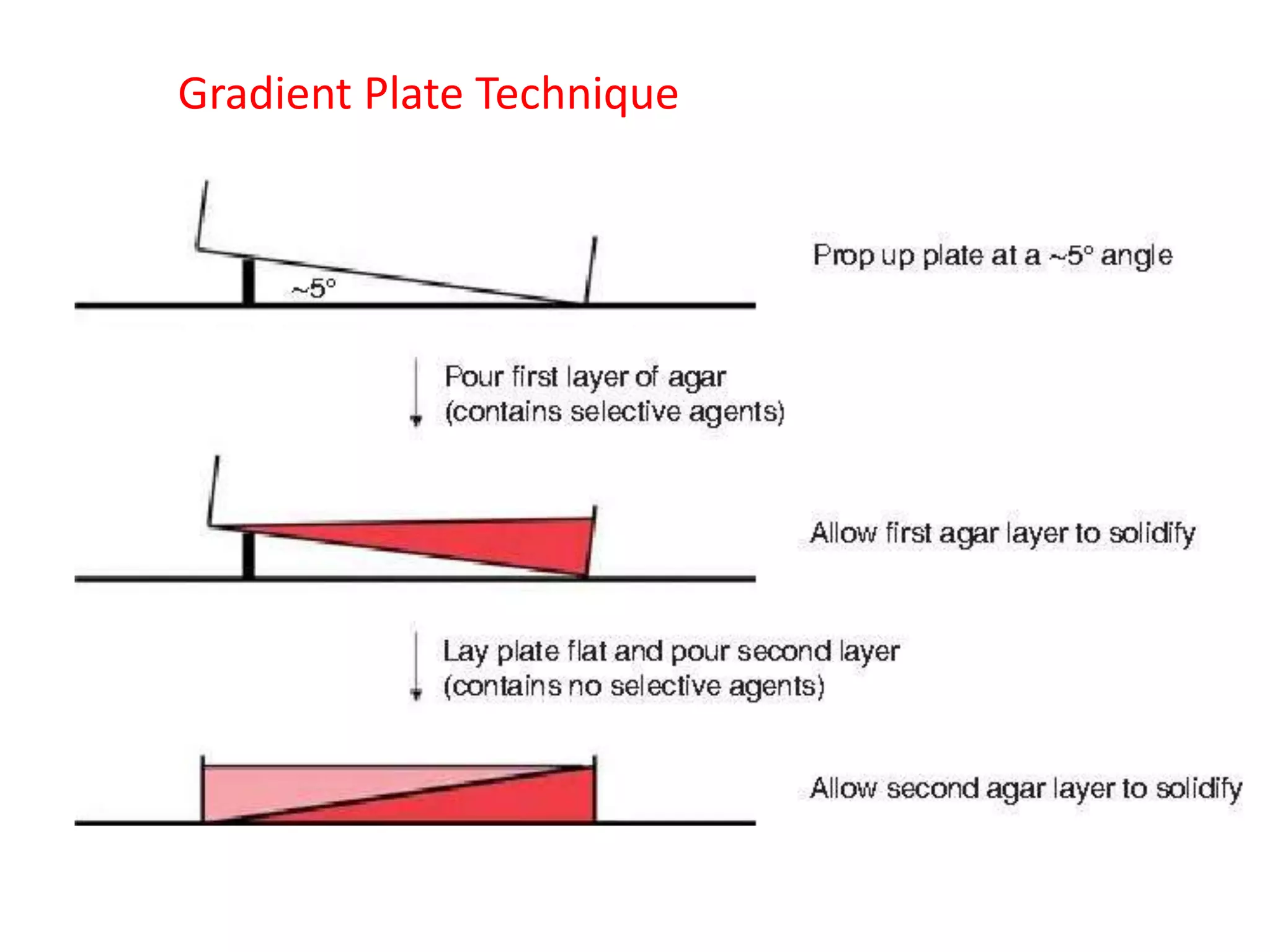 Strain improvement : Techniques used for Isolation of mutants | PPTX