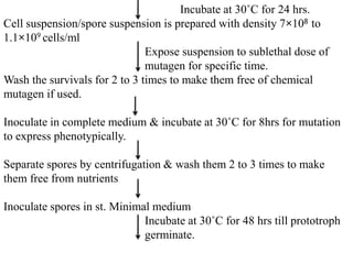 Strain improvement : Techniques used for Isolation of mutants | PPTX