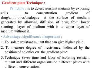 Strain improvement : Techniques used for Isolation of mutants | PPTX ...