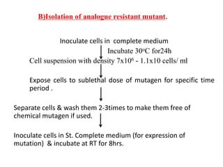 Strain improvement : Techniques used for Isolation of mutants | PPTX