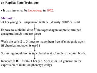 Strain improvement : Techniques used for Isolation of mutants | PPTX