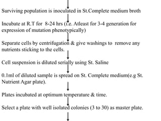 Strain improvement : Techniques used for Isolation of mutants | PPTX