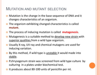 Strain improvement technique (exam point of view) | PPTX