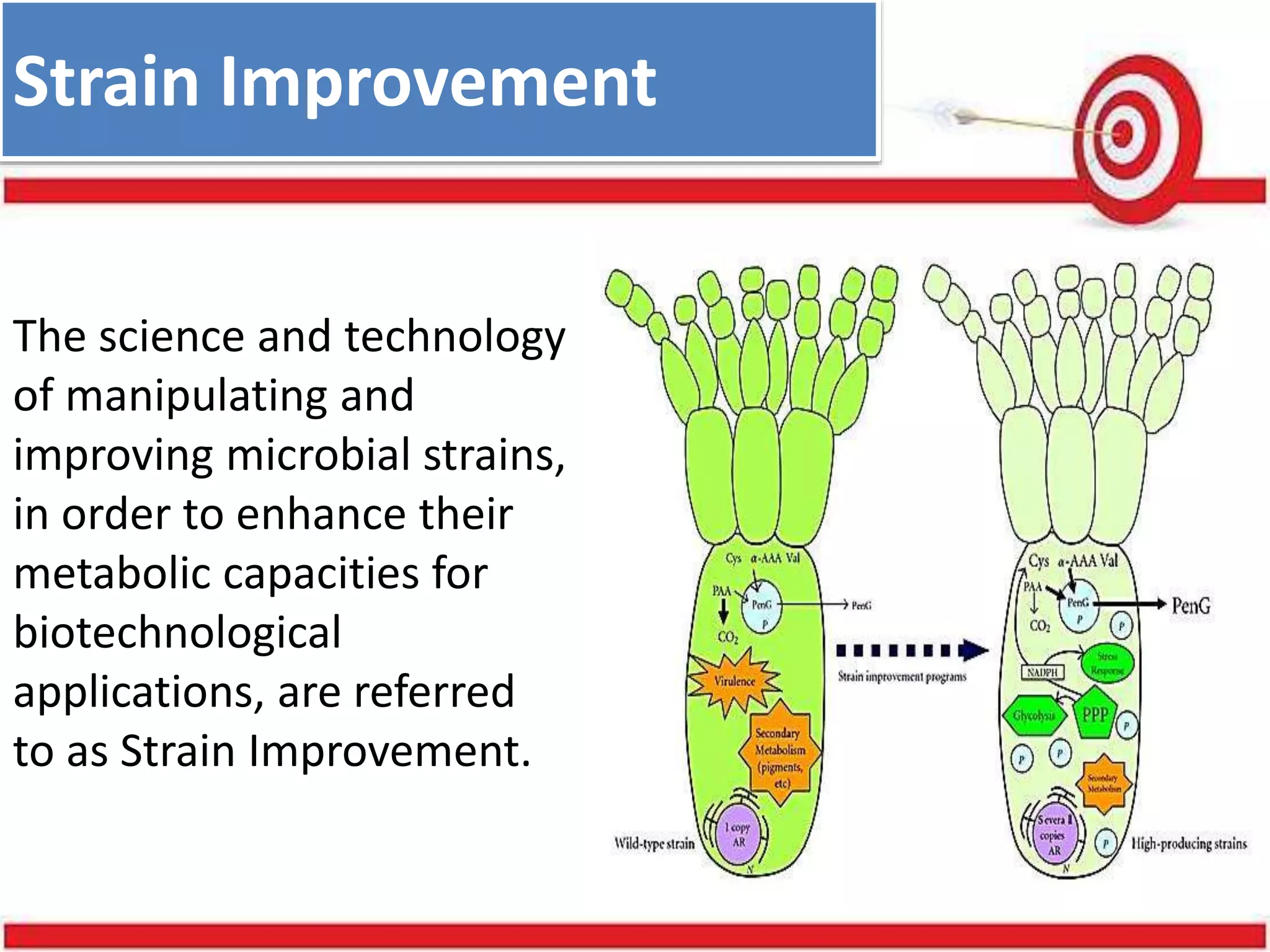 Strain improvement through genetic engineering | PPTX