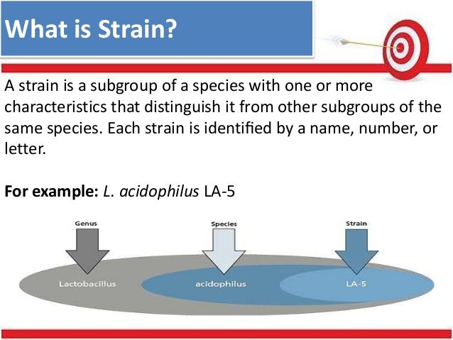 Strain improvement through genetic engineering