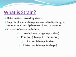 Strain markers+ | PPTX