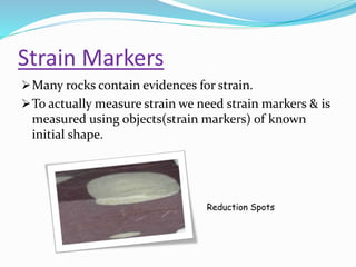 Strain markers+ | PPTX