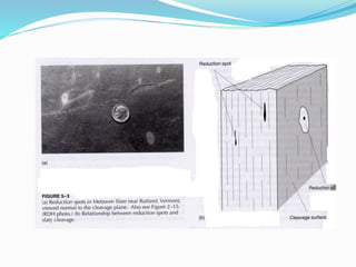 Strain markers+ | PPTX