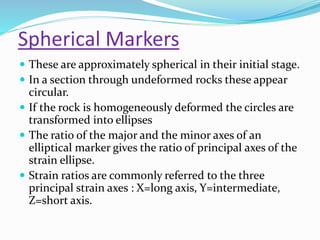 Strain markers+ | PPTX