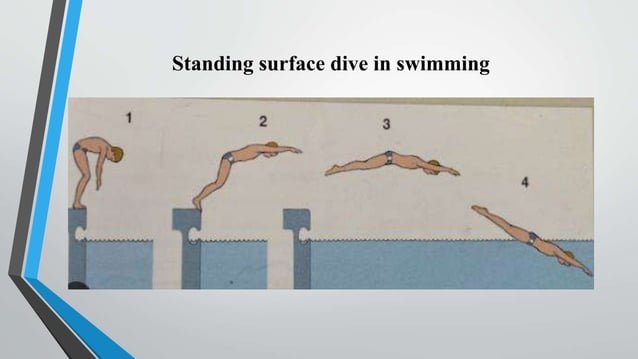 STRAND 2.0 PERFORMANCE AND DISPLAY.pptx