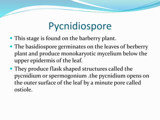 Structure and reproduction of Puccnia and Fuserium | PPTX