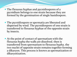 Structure and reproduction of Puccnia and Fuserium | PPTX