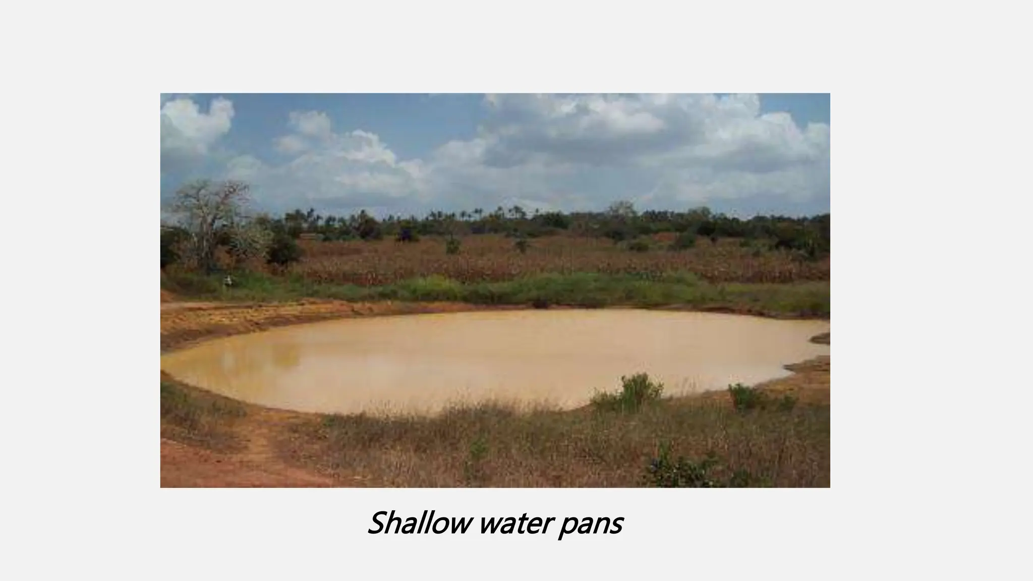 Strands 1 Conservation of Resources.pptx