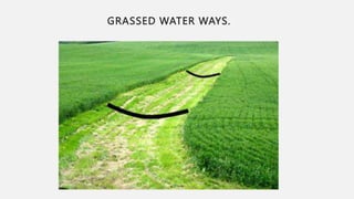 Strands 1 Conservation of Resources.pptx