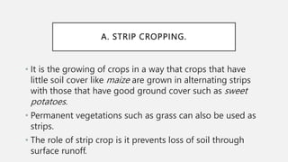Strands 1 Conservation of Resources.pptx