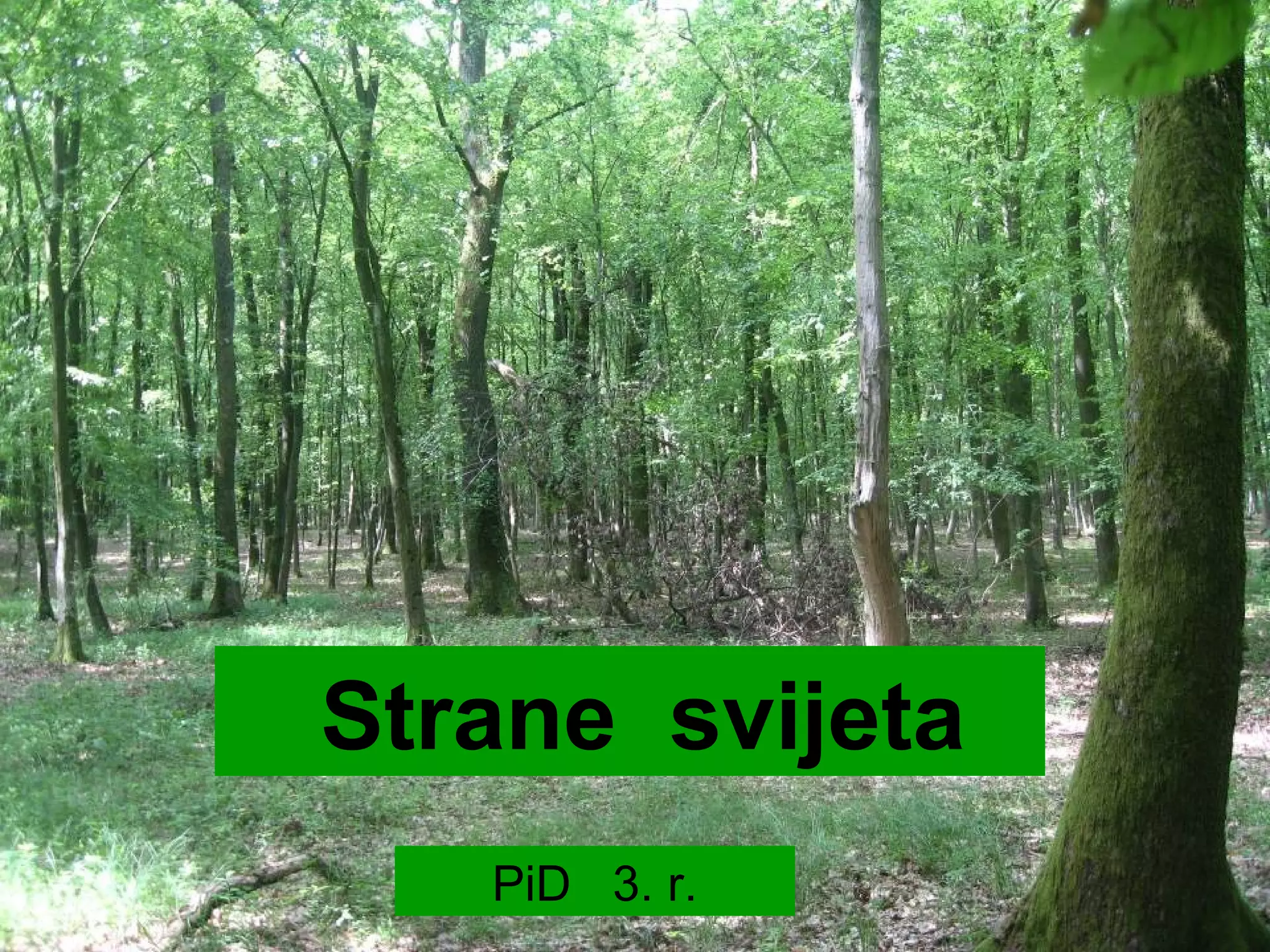 Strane svijeta | PPT