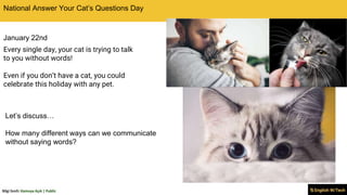 Strange and Interesting Holidays (1).pptx