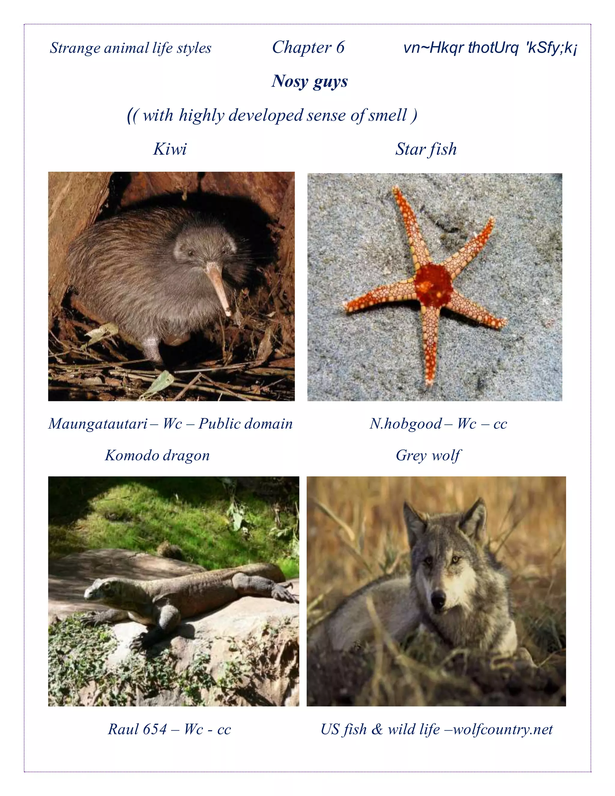 Strange animal lifestyles adbhut Jeevjantu shailiyan chapter 6 Oh What ...