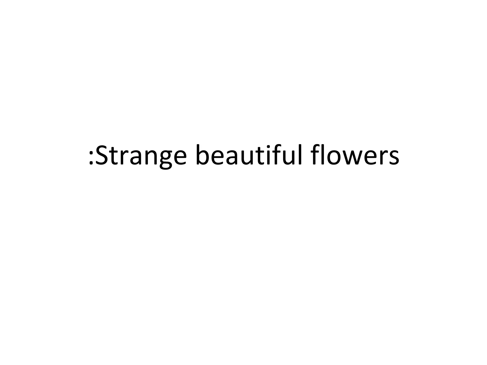 Strange Beautiful Flowers | PPT