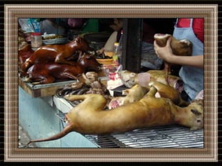 Strange street food | PPT