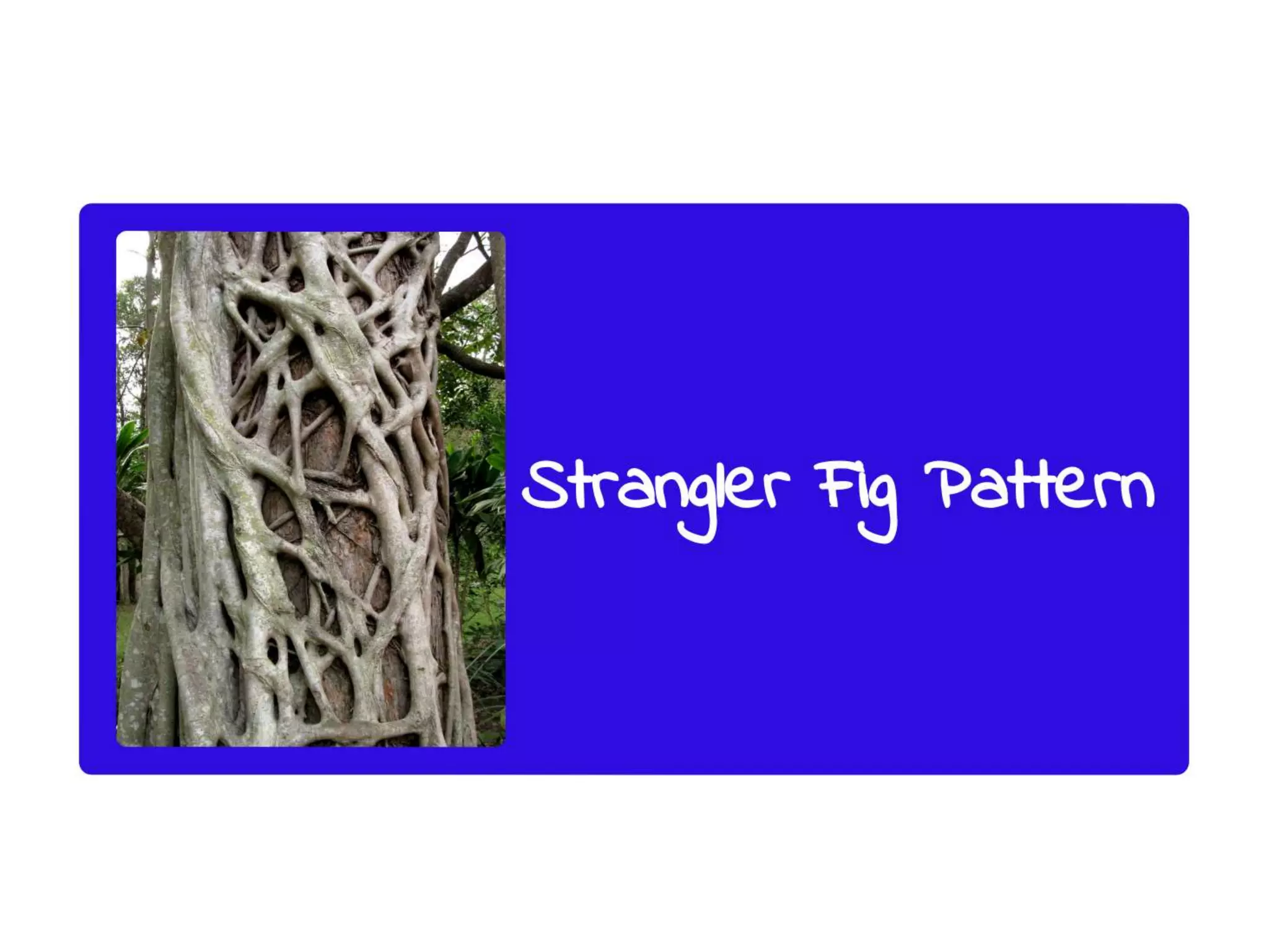 Strangler Fig Design Pattern | PPTX