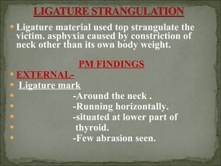 sex from skeleton | PPT