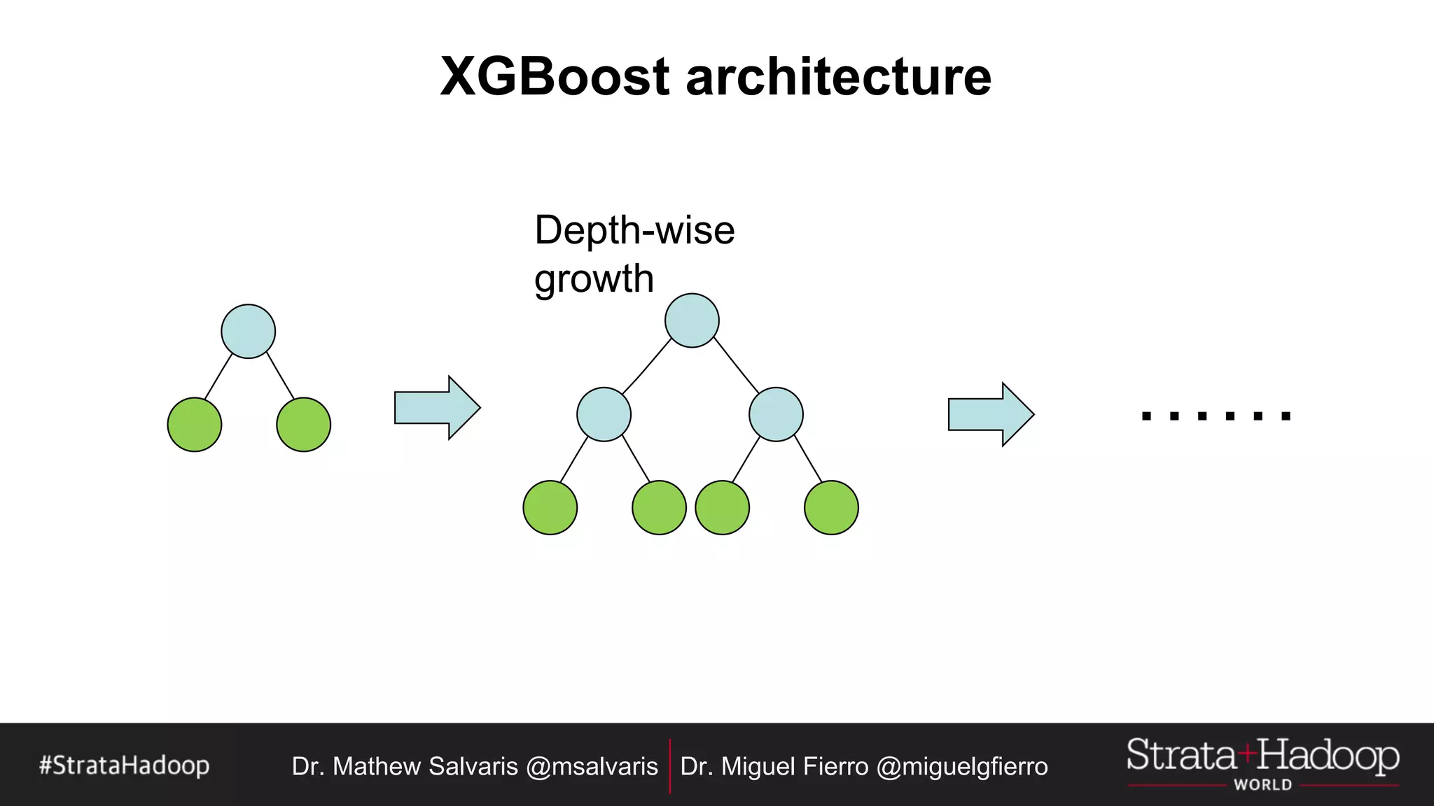 Speeding up machine-learning applications with the LightGBM library | PPTX
