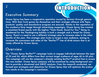 Ocean Spray Strategic Plan | PDF