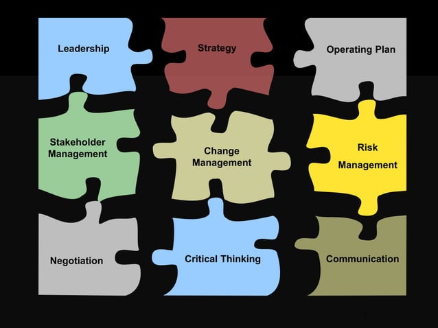 Strategic Program Management | PDF | Business Administration | Business