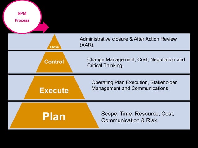 Strategic Program Management | PDF | Business Administration | Business