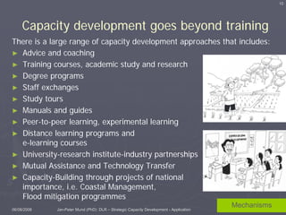 Strategic Elements Of Capacity Development | PDF