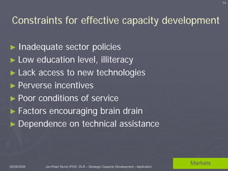 Strategic Elements Of Capacity Development | PDF