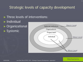 Strategic Elements Of Capacity Development | PDF