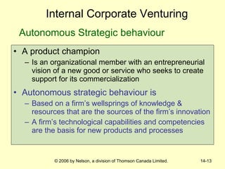 Strategic Management Ch14 | PPT