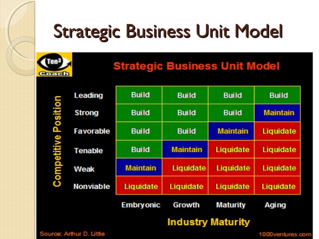 Strategic business unit | PPT