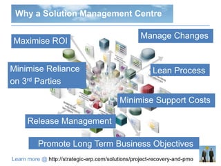 Strategic ERP Solution Management Centre Model | PPTX | Business | Business and Finance