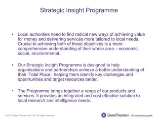 Strategic Insight | PPT